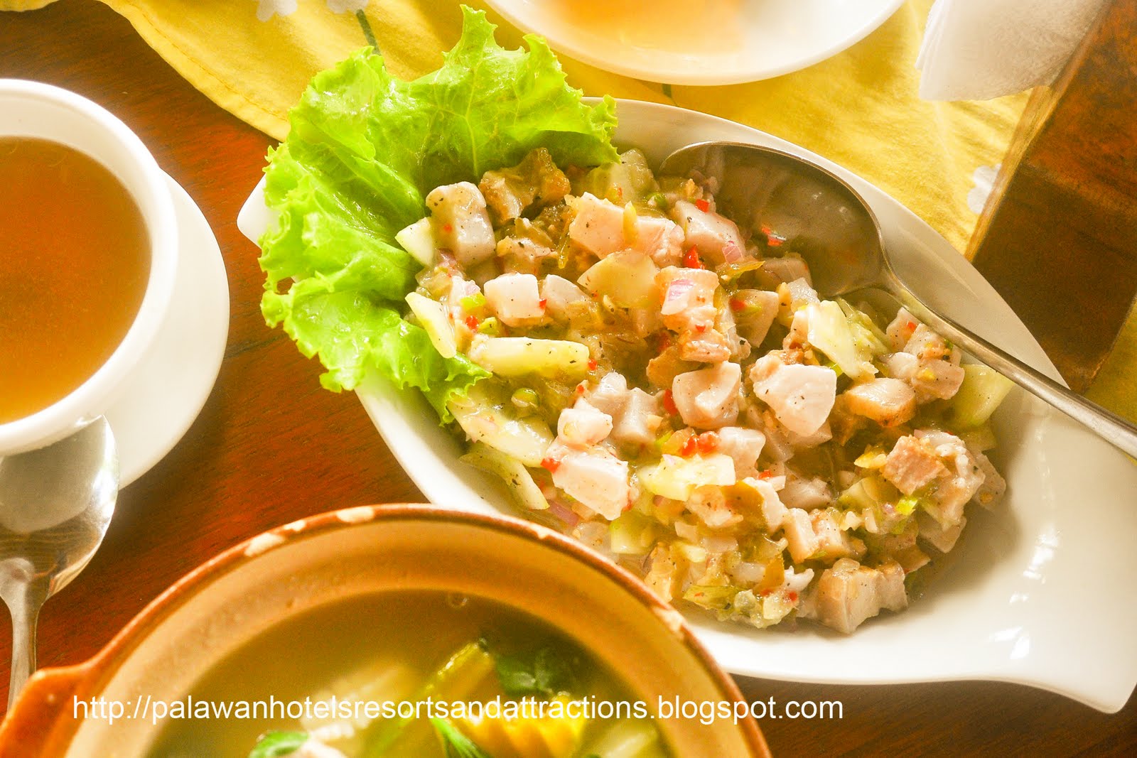 PALAWAN HOTELS, RESORTS, AND ATTRACTIONS: KA INATO, PUERTO PRINCESA ...