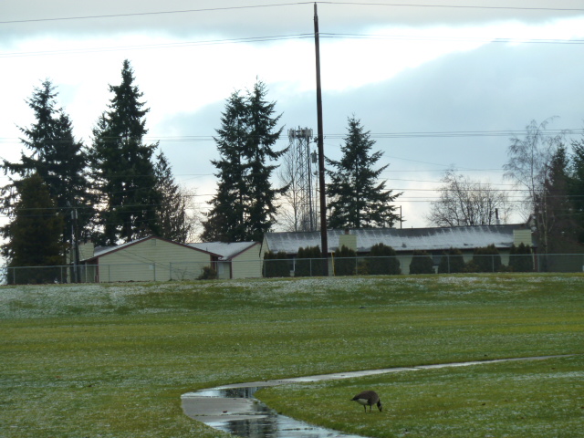 NW Artist: Learning About Life, Art & Spirituality: Walter E. Hall Park ...