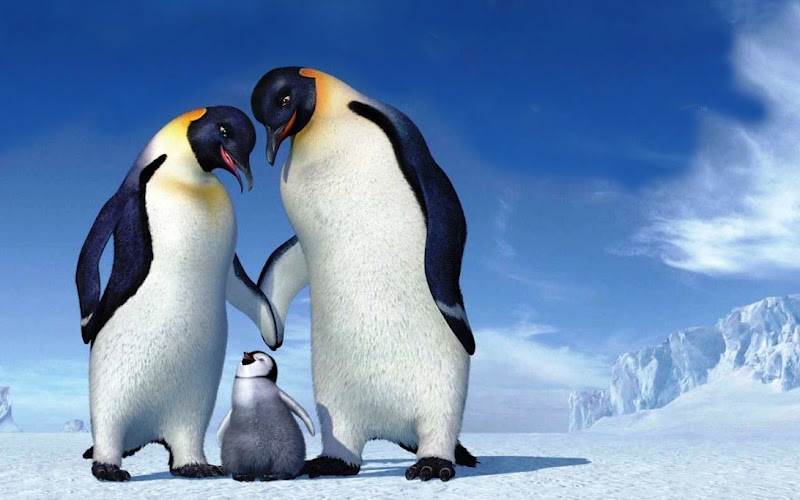 GalleryCartoon: Happy Feet Cartoon Pictures