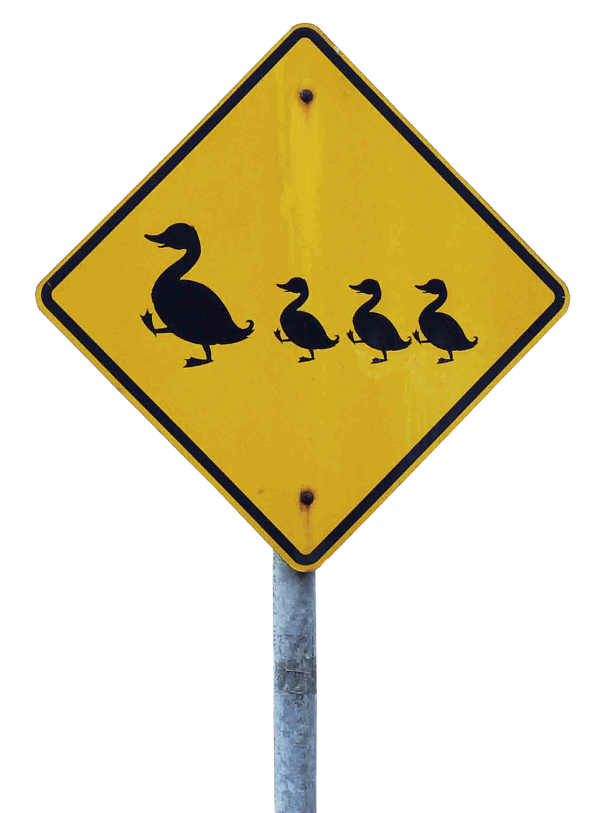 Sandra's Ark: Stop & Let The Ducks Cross - A Dose of Encouragement