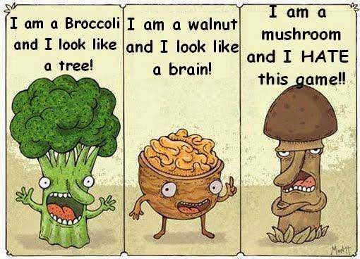 I'm a Broccoli and I Look Like a Tree!... ~ Science Storiented