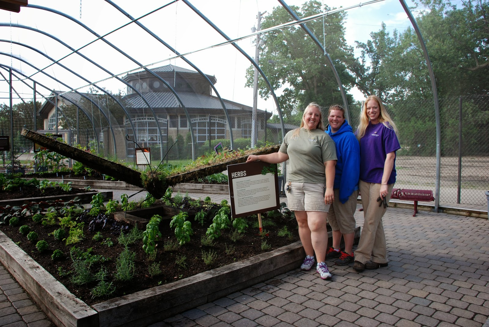 Great Year for our Edible Garden - Como Zoo Conservatory