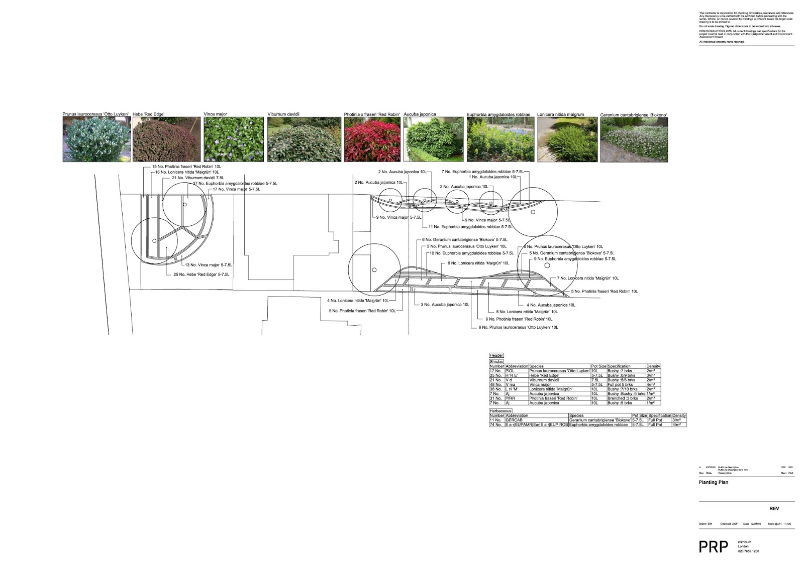 Planting Design for a Small garden