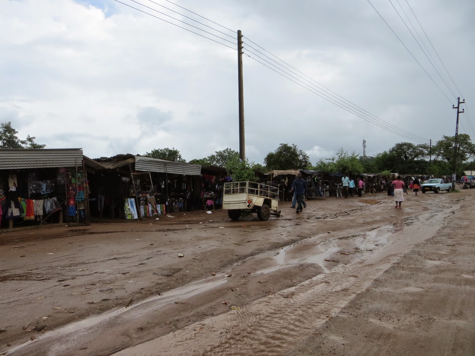 WOBBLS around Zimbabwe - A journey of rediscovery: Blog 5 Chipinge Chiredzi