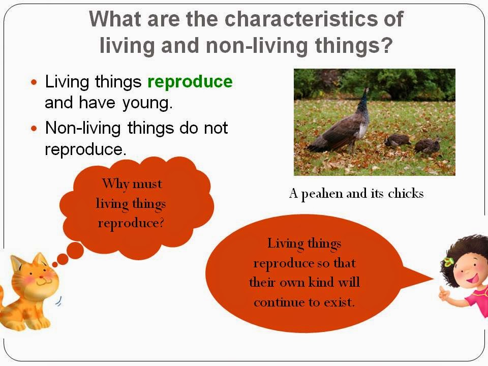 BGPS P3-1 2015: Characteristics of Living and Non-Living Things