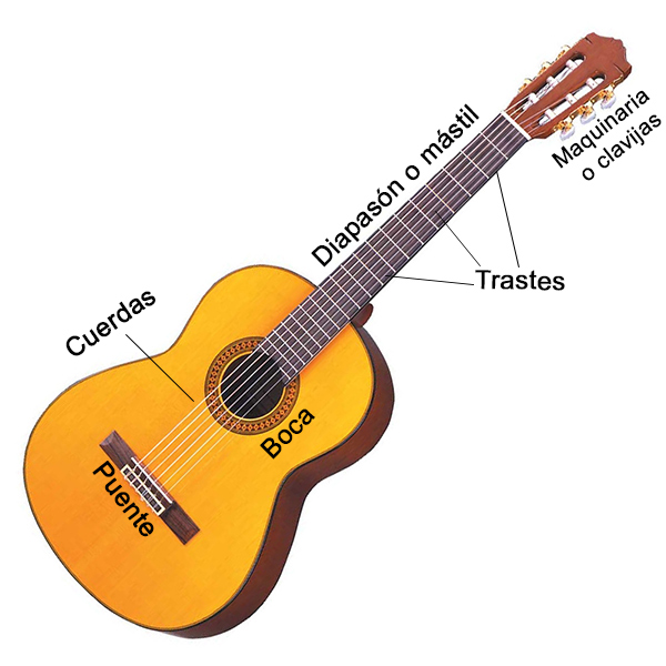 Metodo De Guitarra Acustica: Partes de la GuitarraMetodo de Guitarra ...