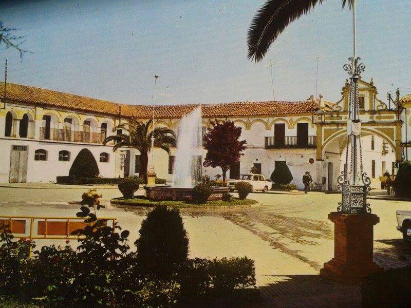 Naranjas de Palma del Río: Palma del Río: mi ciudad en fotos