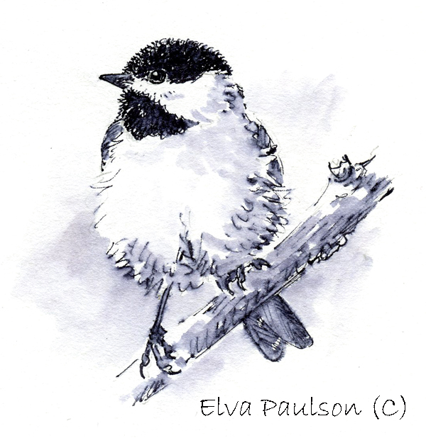 Elva's Field Notes: Musings on Water Soluble Ink: Part II