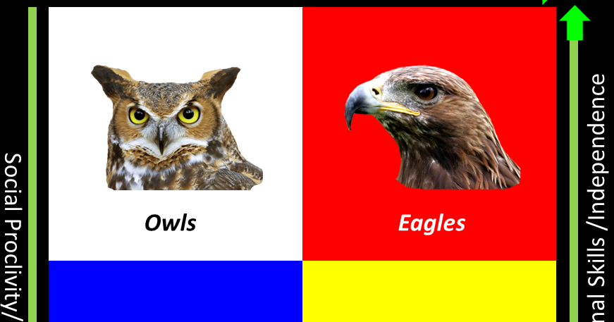 Birding Is Fun!: Birder Personality Profiles