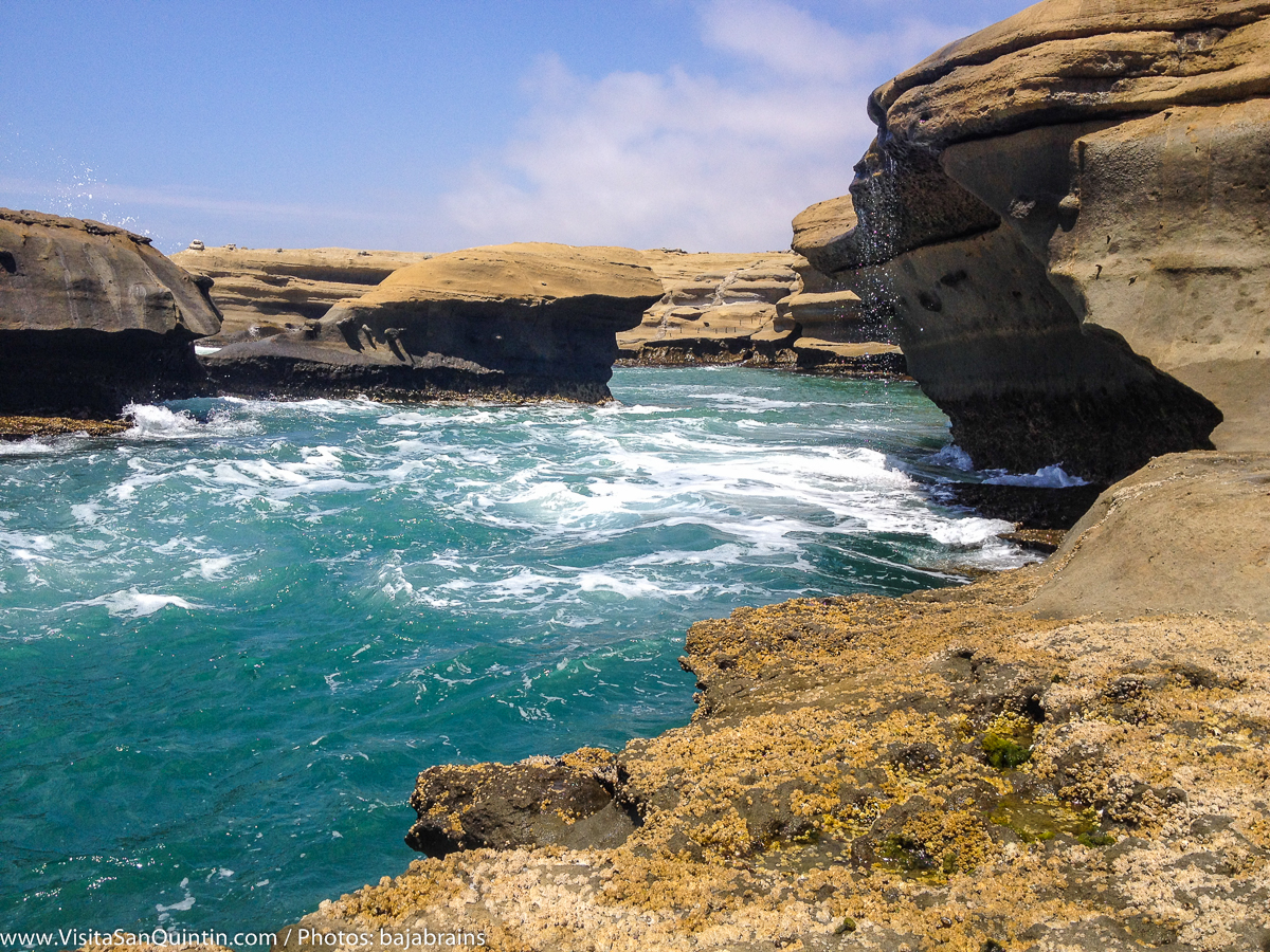 La lobera de san quintín bc