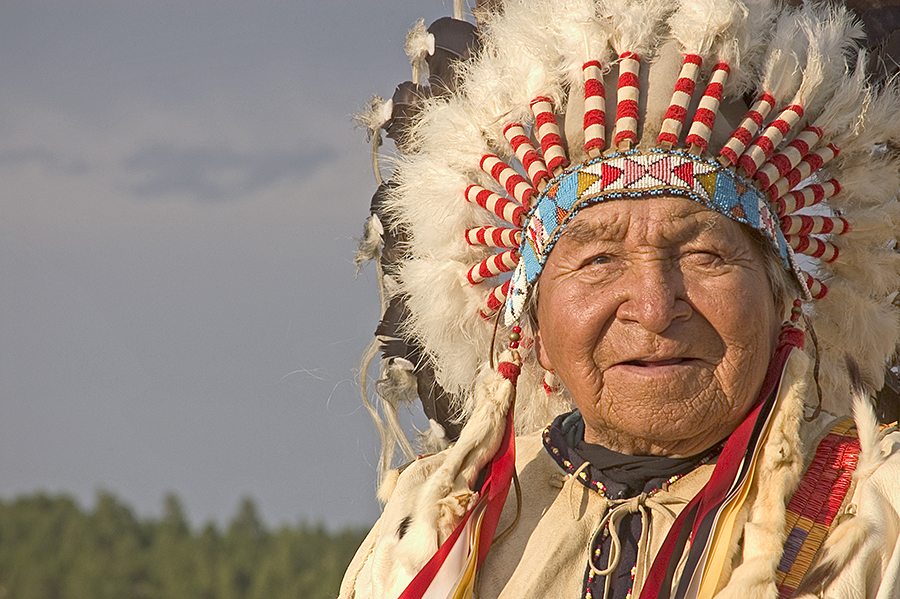 White Wolf : Fascinating Facts And Pictures About Chief David Bald ...