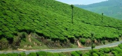 Munnar Holidays: CLASSY CHITHIRAPURAM - SILENT BEAUTY