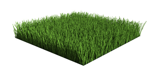Maya Zest: Creating realistic grass in v-ray Maya using fur