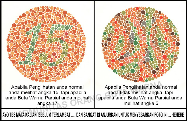 FIRMAN MANTOEL SHARE: Mempelajari Test Buta Warna Icihara