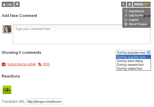 Ivan Lajara: How does the Freeman's new comment system work?