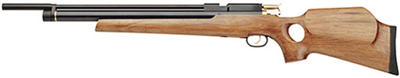 GUN SPORT: BAM B-51 Air Rifle