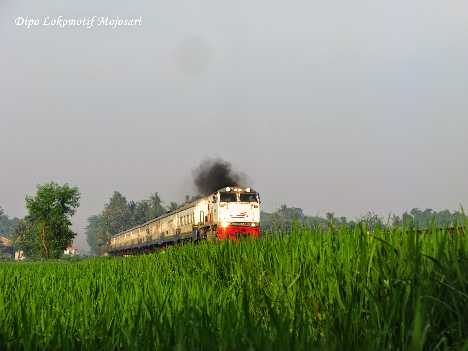 Kereta Api Indonesia: Rangkaian KA Senja Utama Solo ft CC203 Melintas ...
