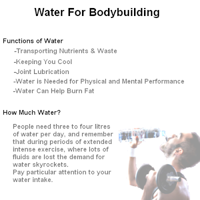Water Bodybuilding - The Secret Key to Full Muscles