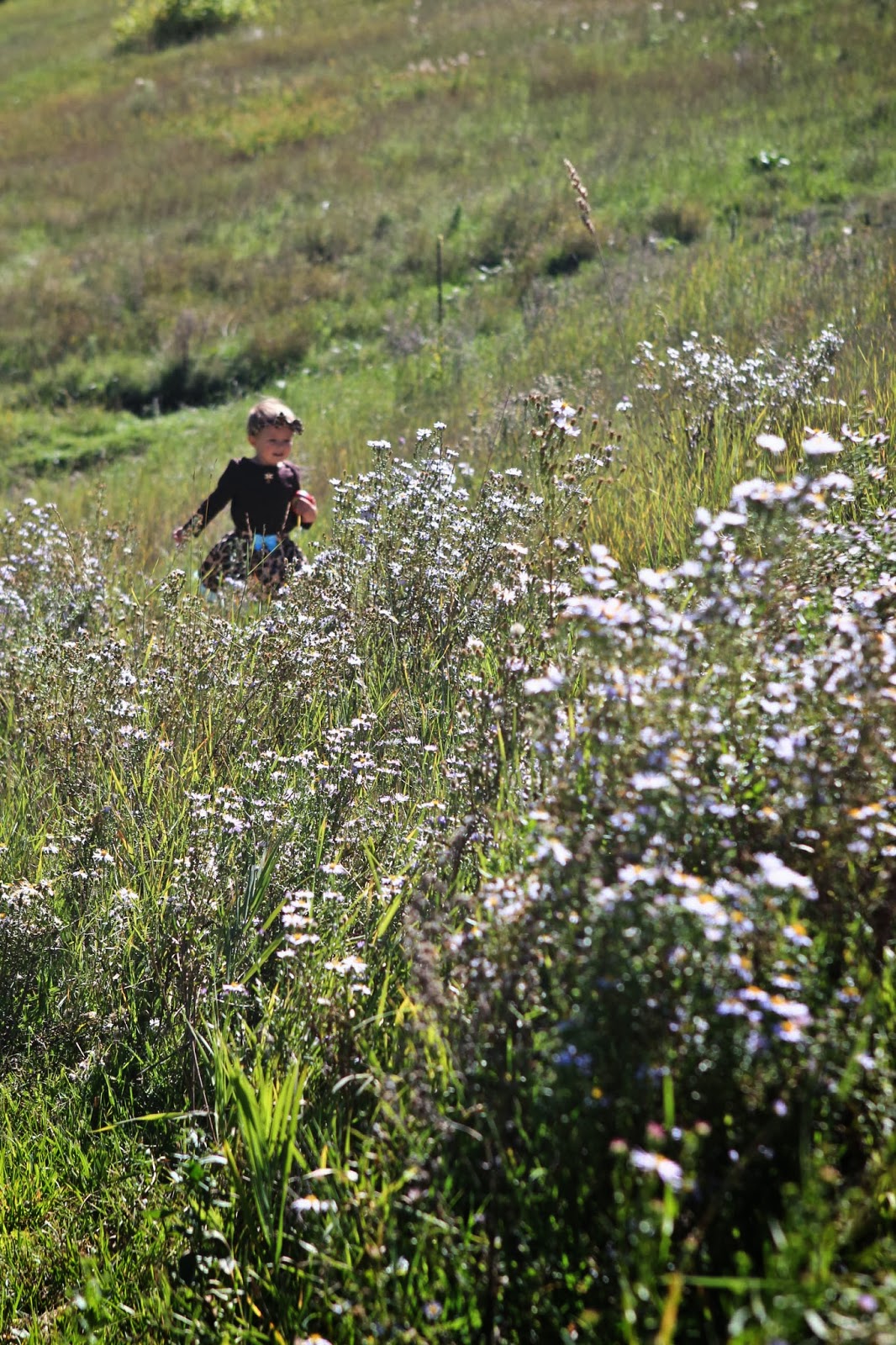 A Little Cuppa Tea: Fall: Sundance, Utah & Wyoming