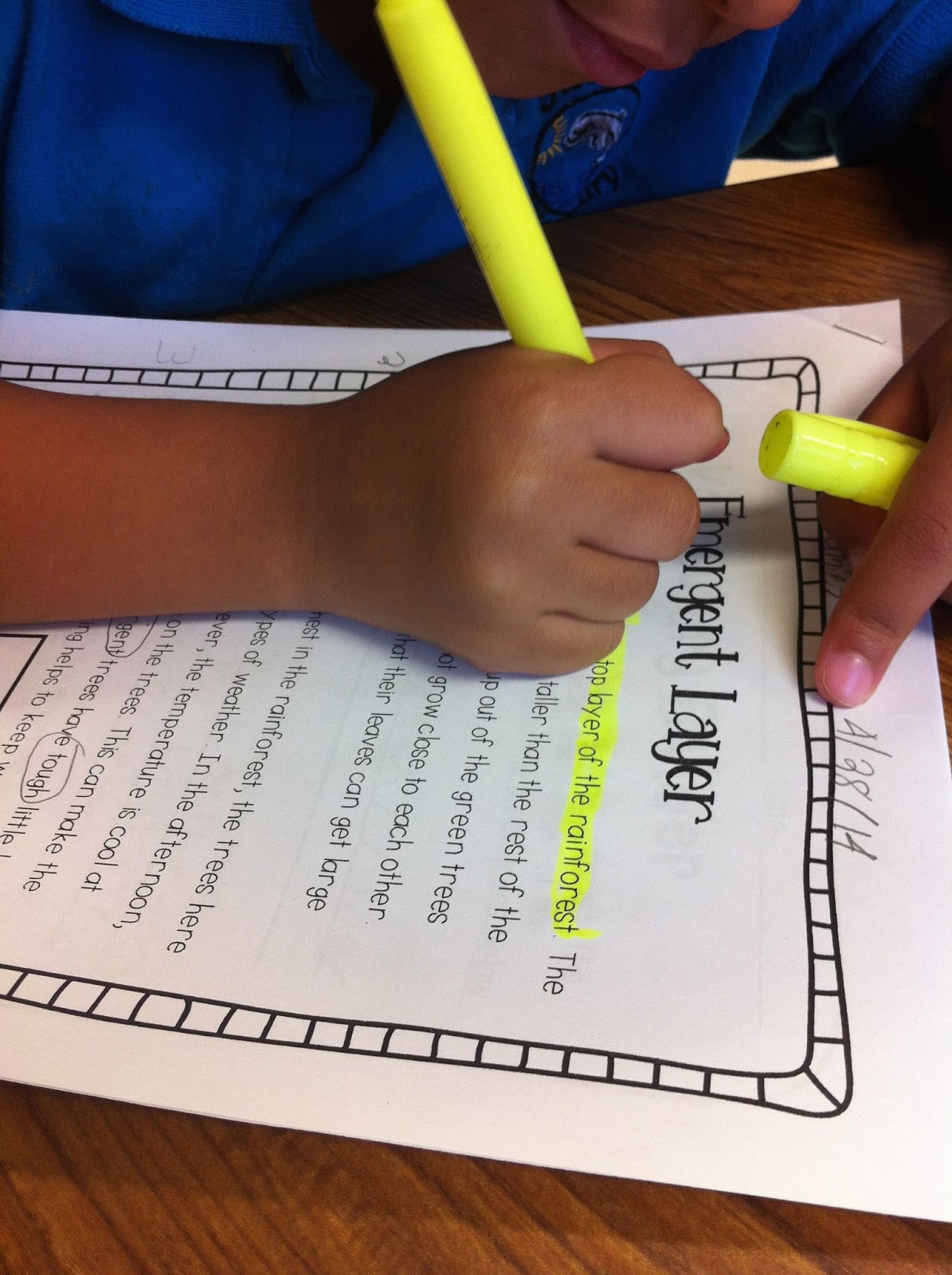 Creativity to the Core: Informational Writing - Red Eyed Tree Frog