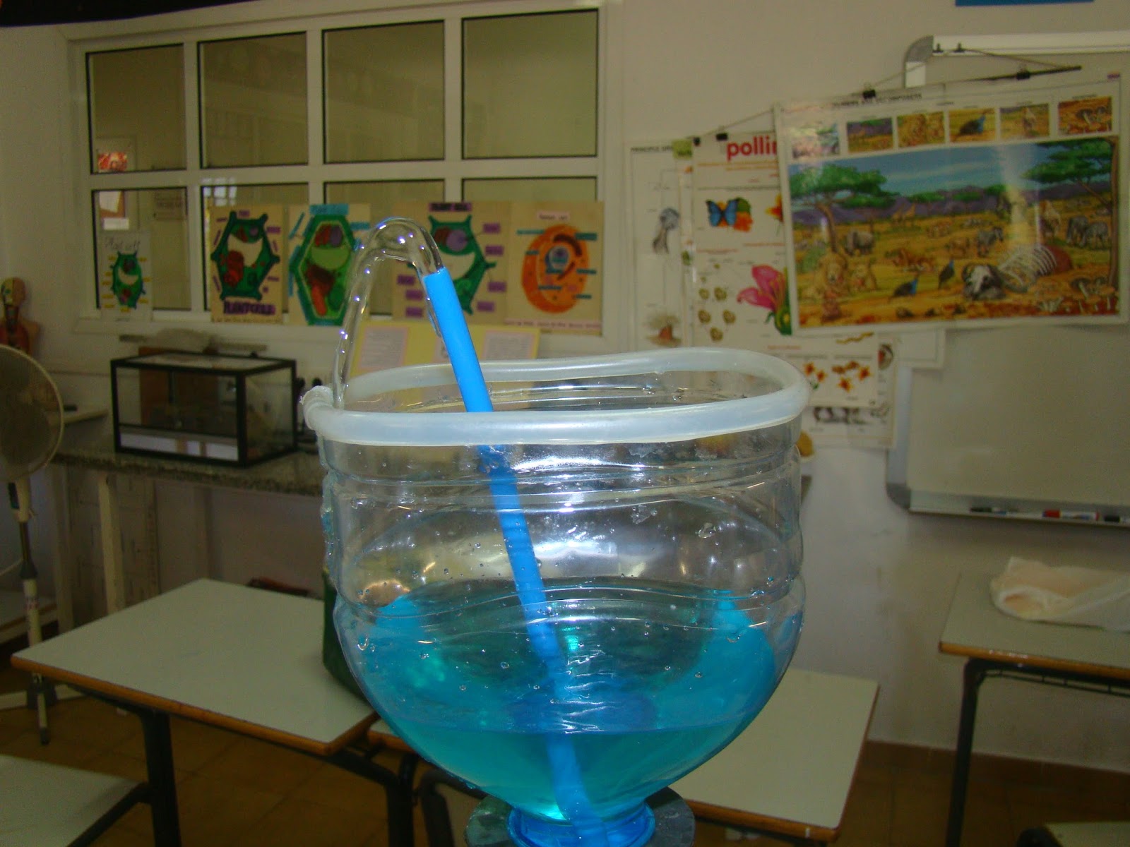 Science Magazine: HERON'S FOUNTAIN BY MARTA MIELGO