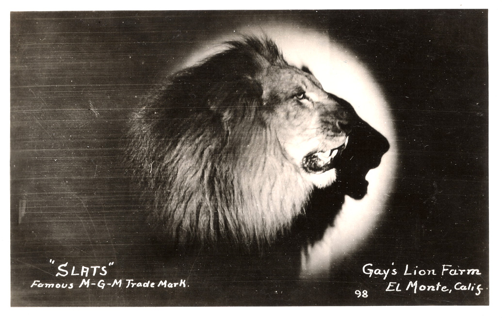 The Silver Screen Affair: The MGM Lion