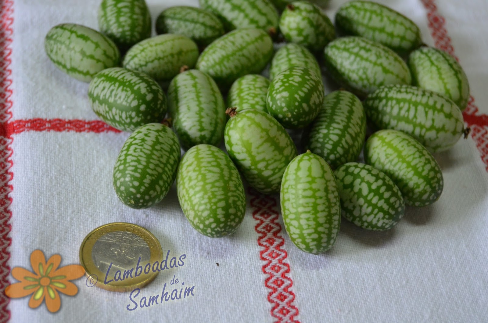 Lamboadas de Samhaim: Pepquiño, mini sandía, cucamelón encurtido