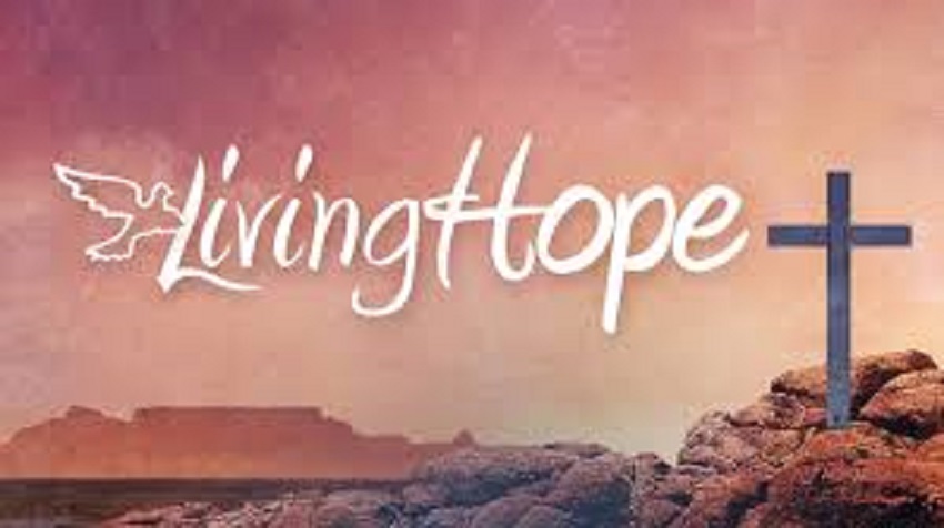 Cindy Navarro: Living Hope: The Documentary DVD