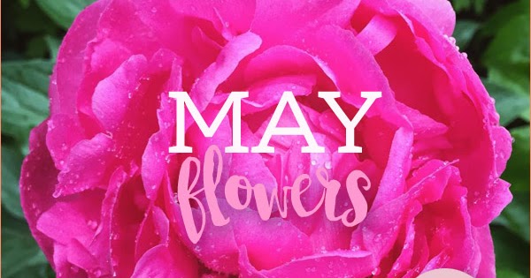 ChristineCreations: May Flowers