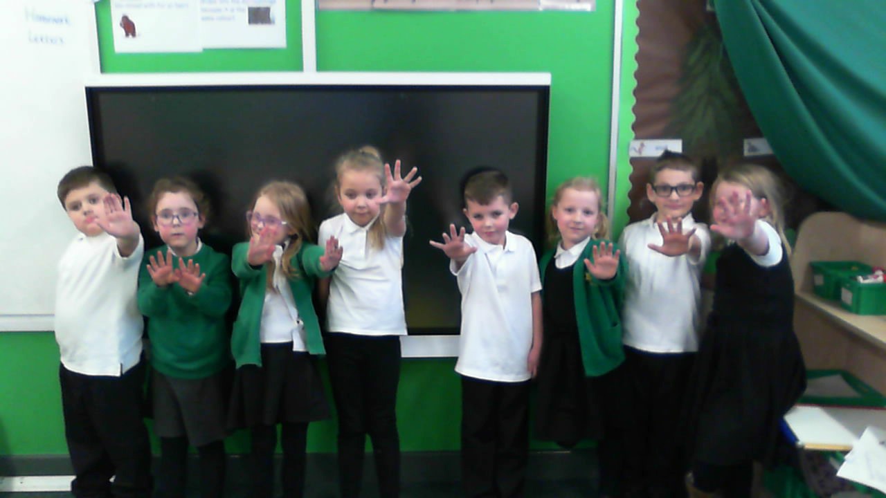 Model Village Primary School: February 2018