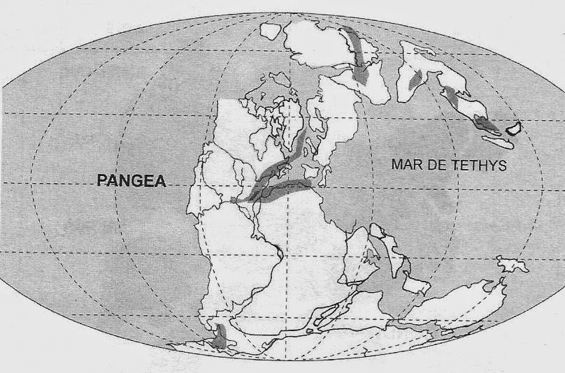 Ciencias de la Tierra (geología - geografía): EL TIEMPO GEOLOGICO