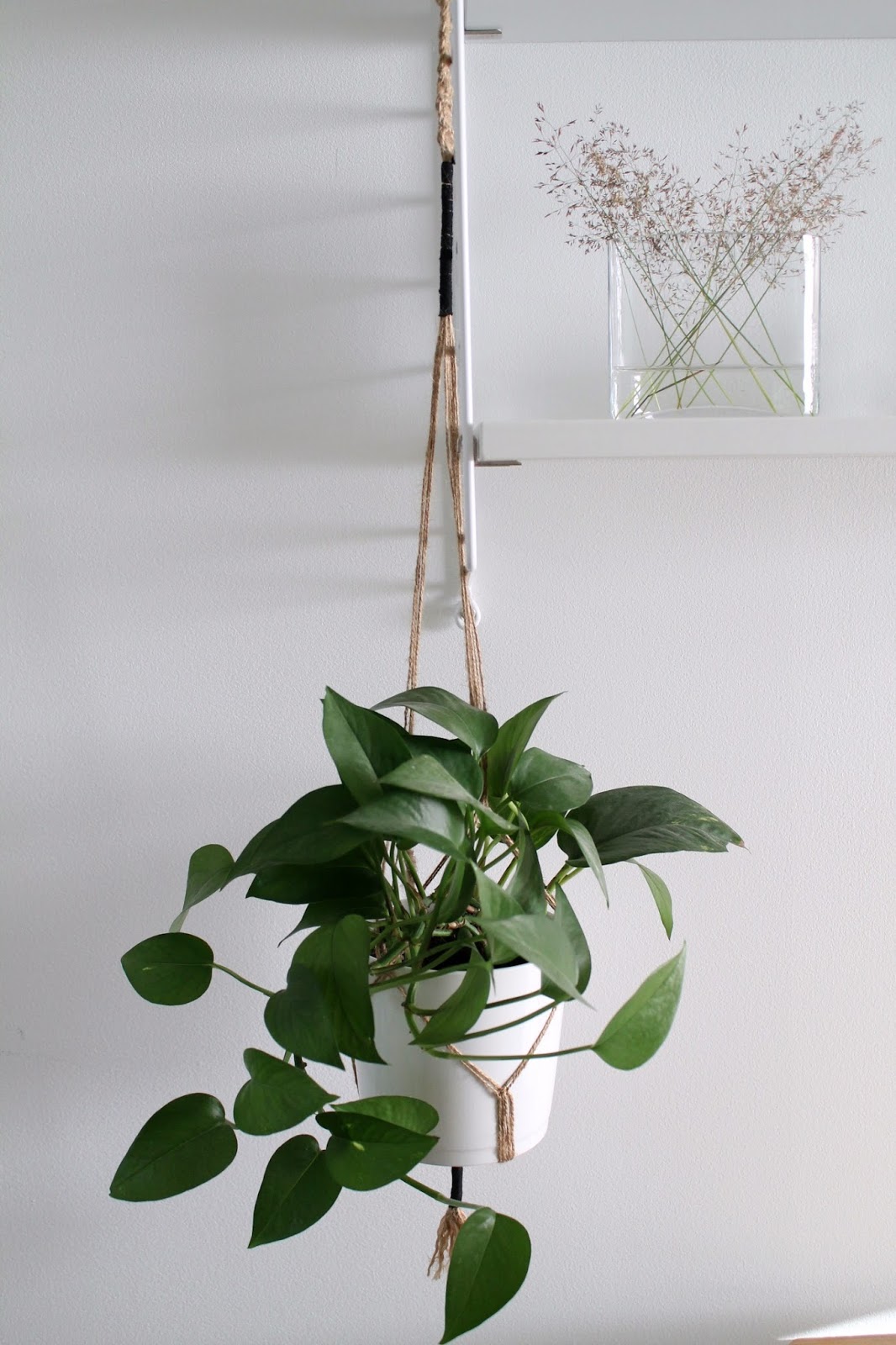 Lämmin ilo: Kukka-amppeli