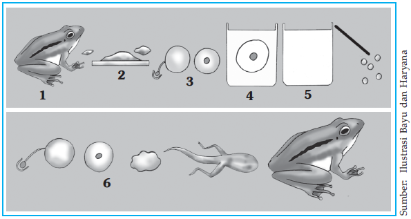 bunga hariyanti: makalah bioteknologi