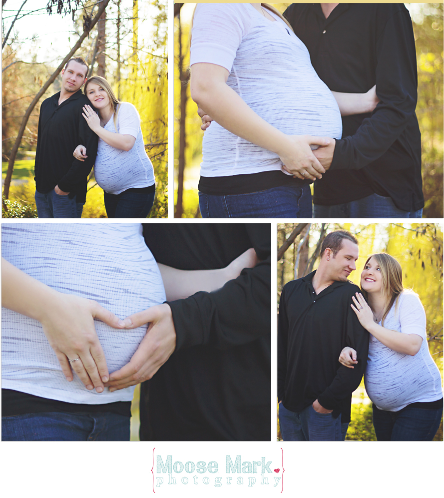 Moose Mark Photography