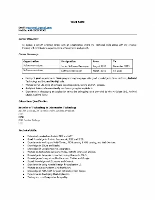 Java Developer Resume - Experience Download Now!!