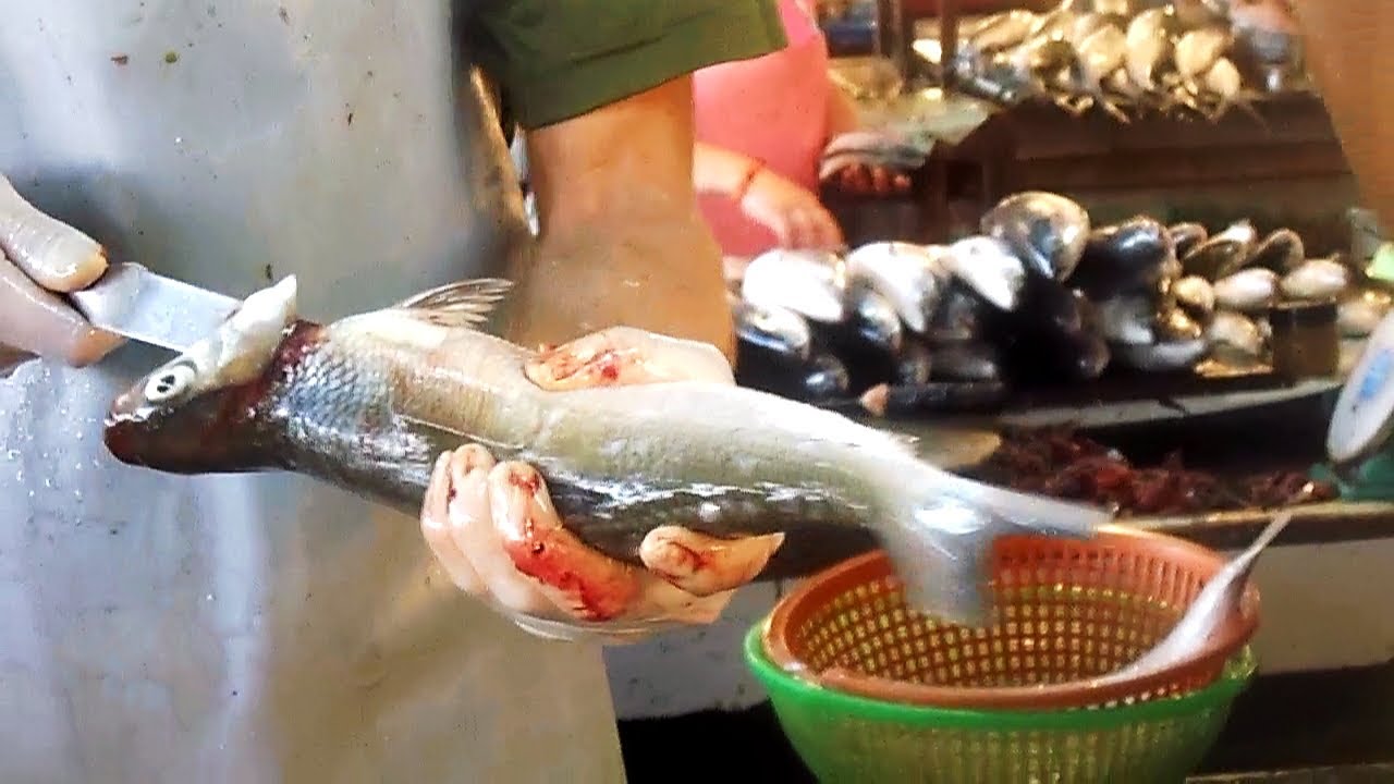 Cooking Fresh Milkfish Frying Recipe | Indonesia Milkfish Factory, How ...