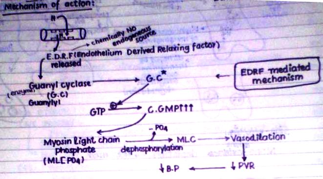 Hydralazine - Introduction - Mechanism Etc - Direct Vasodilators ...