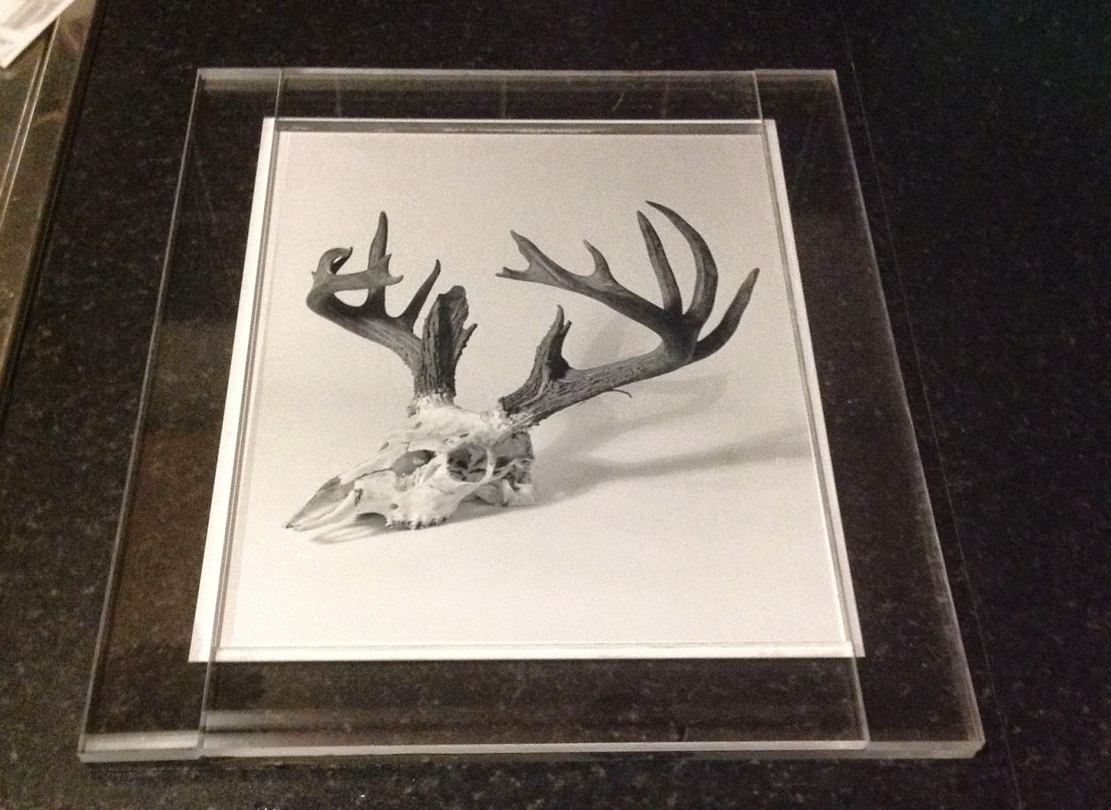 Fiber Print Drying Method