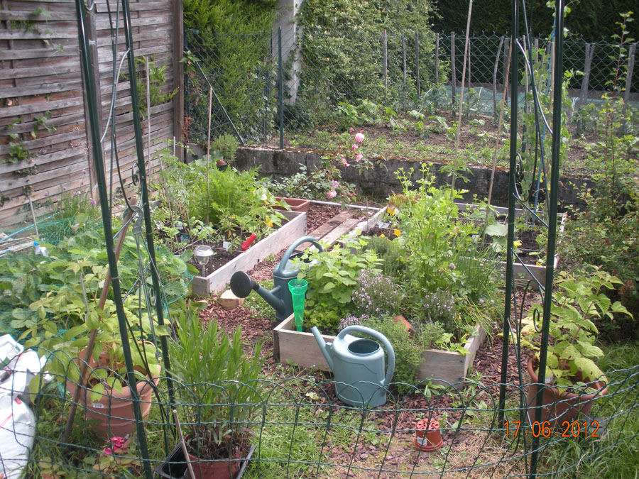 A Fleur d'Ô: Et dans mon coin potager