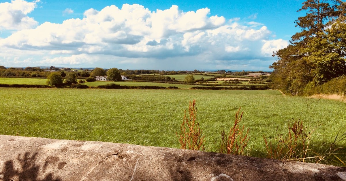 mike in mono : Carrowdore
