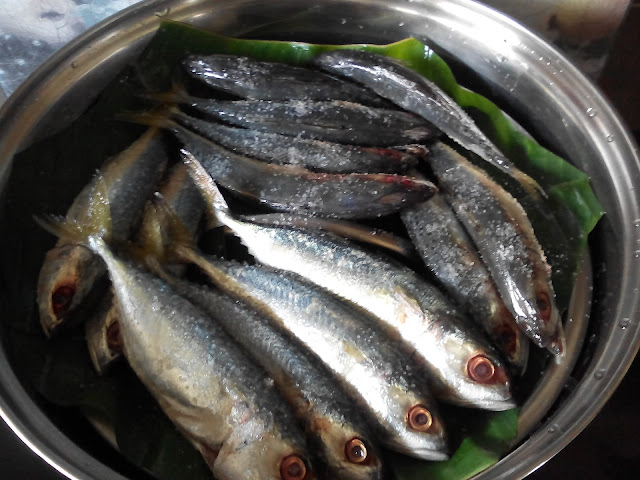 Jane Yee's food & life diaries: salted steamed kembong fish 咸熟鱼