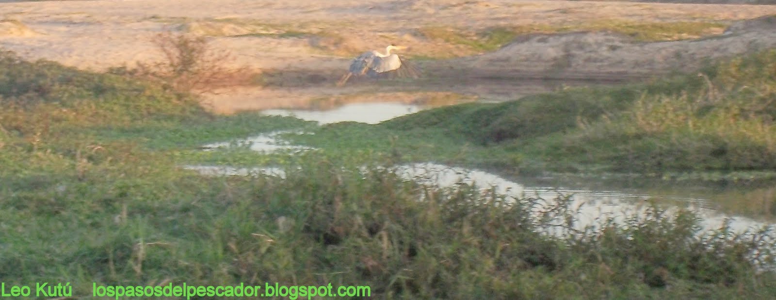 Ella (Garza) no estaba dispuesta a perderse ser protagonista de esta ...