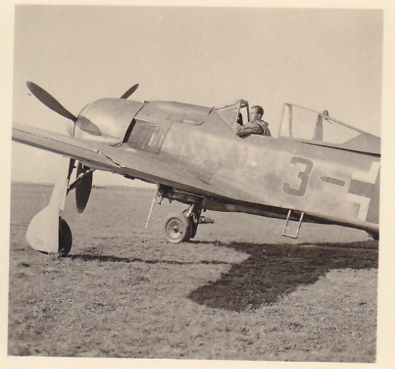 FalkeEins - the Luftwaffe blog: Fw 190 A-8 Stabsstaffel JG 51 - Michael ...