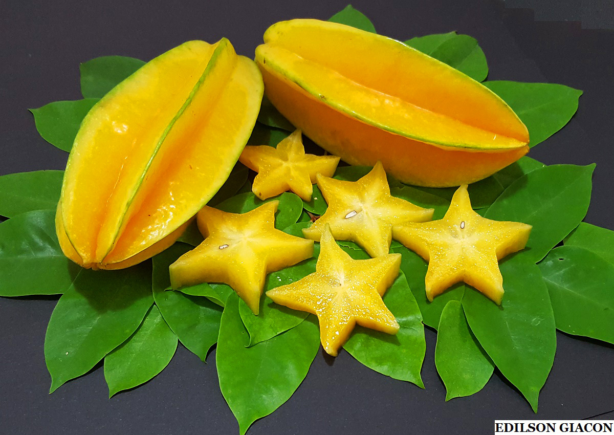 Viveiro Ciprest - Plantas Nativas e Exóticas: Carambola Doce de Minas ...