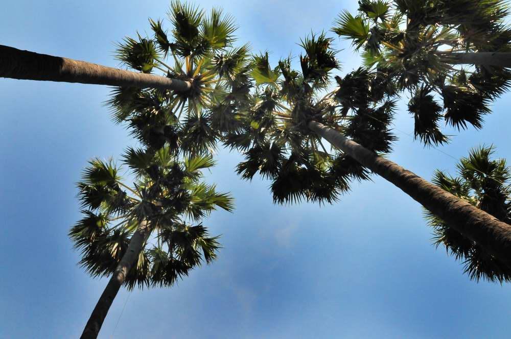 Adventure = Journey: Bird's Eye View & Frog's Eye View