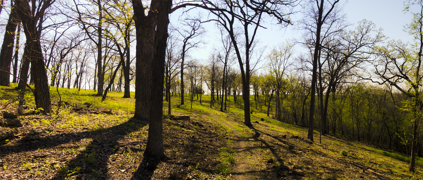 Wisconsin Explorer: Hiking The Ice Age Trail - Table Bluff Segment
