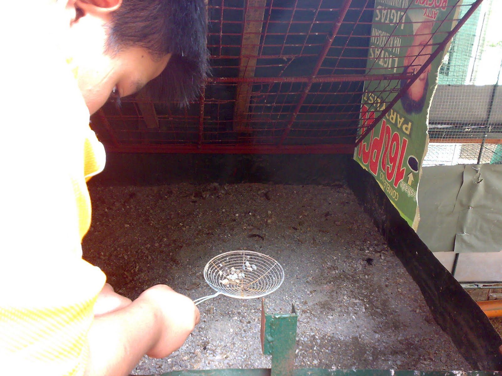 On Raising Chickens in the Backyard: Cleaning the Chicken Coop