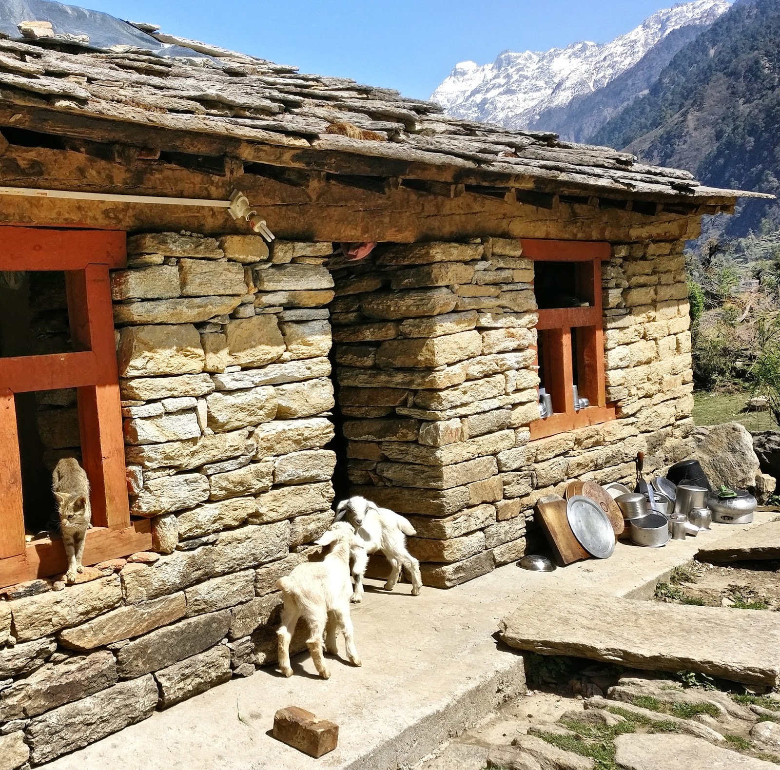 Pindari Glacier : A trek to the origin of river Pindar