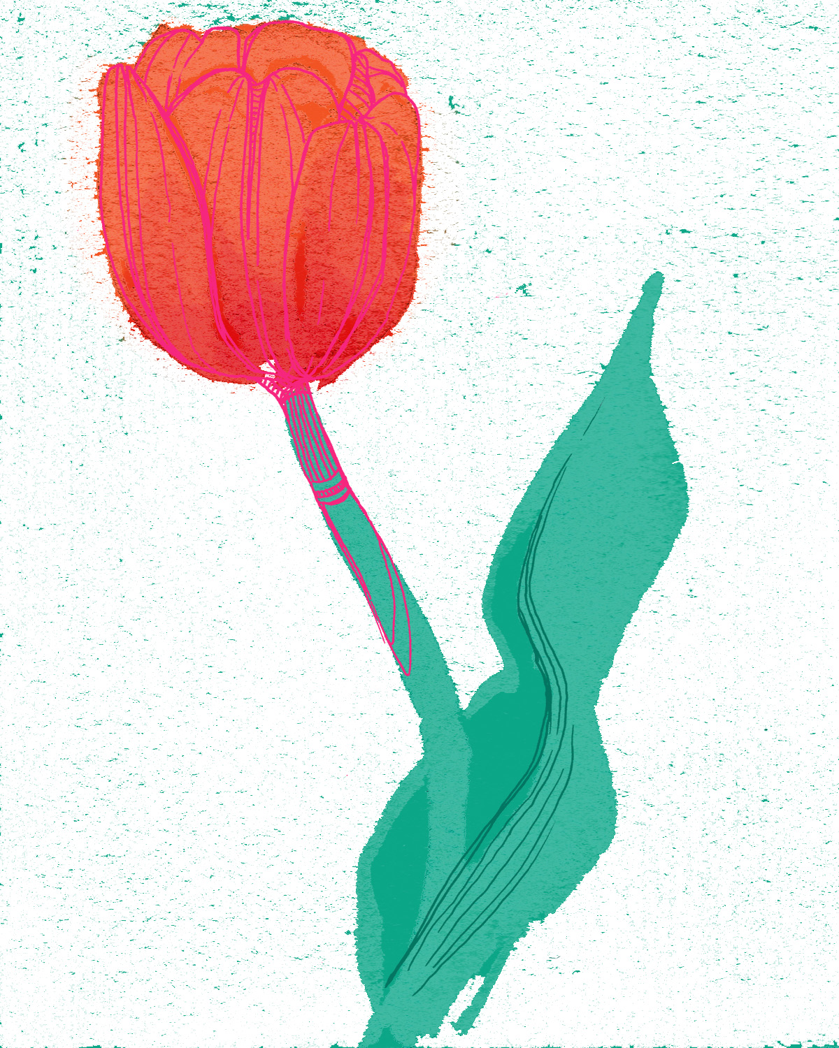 Kate Radomski Illustration: Flowers