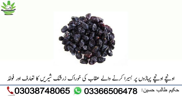 Barberries (Zereshk) Zarshak Shireen Health Benefits زرشک شیریں ...